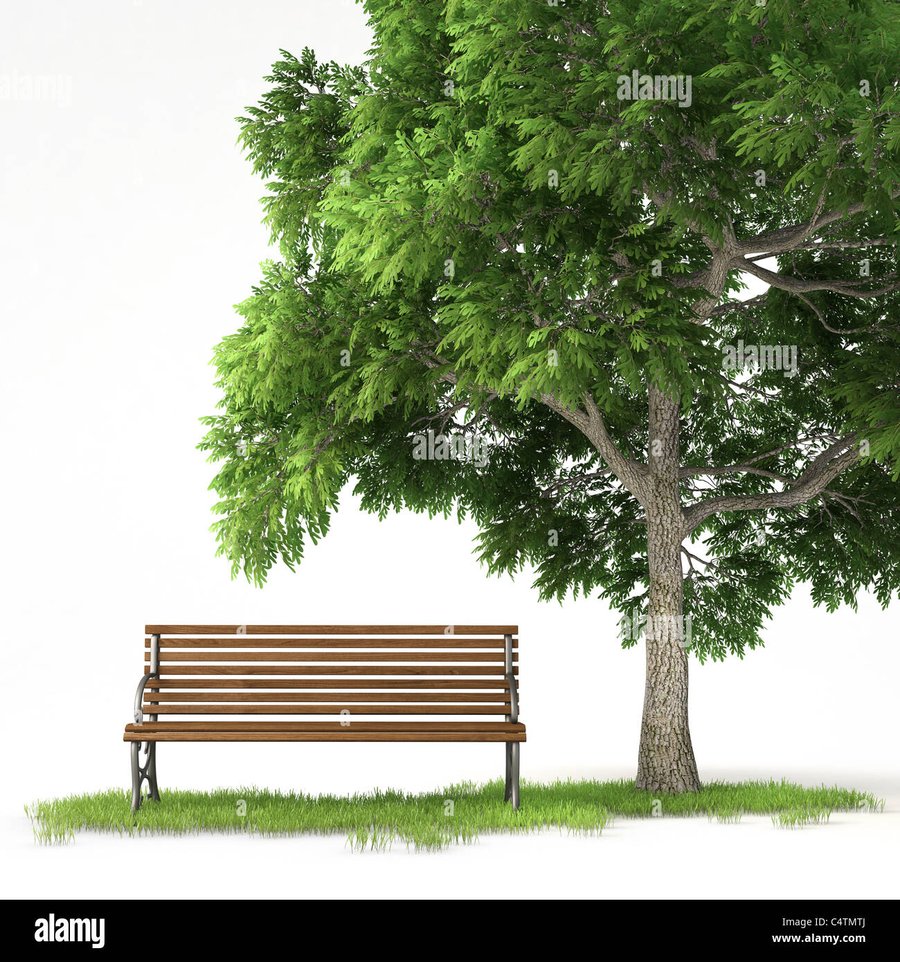 bench under a tree isolated on white background with clipping path ...