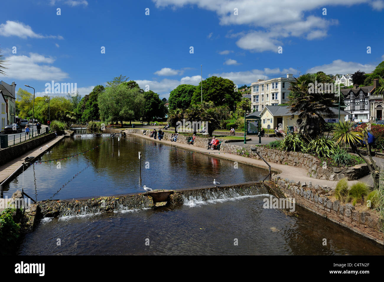 dawlish water also known as the brook runs through the town and goes ...