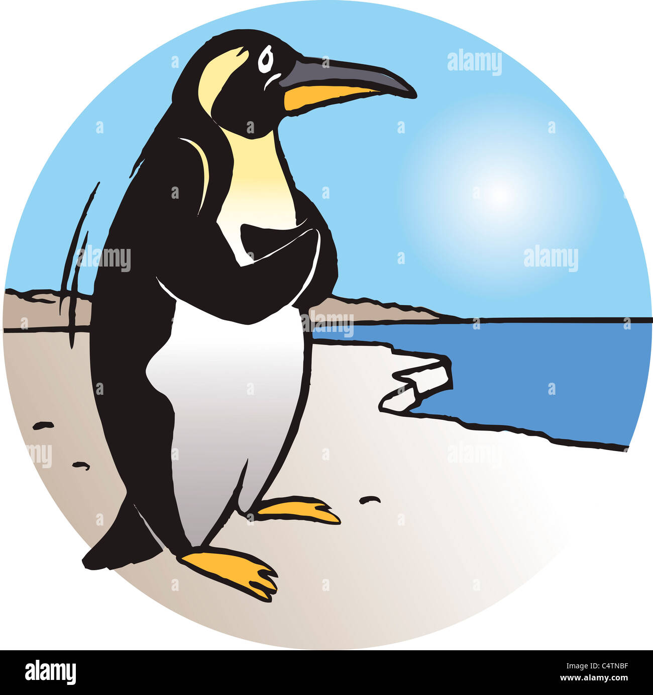 Penguin cartoon images hi-res stock photography and images - Alamy