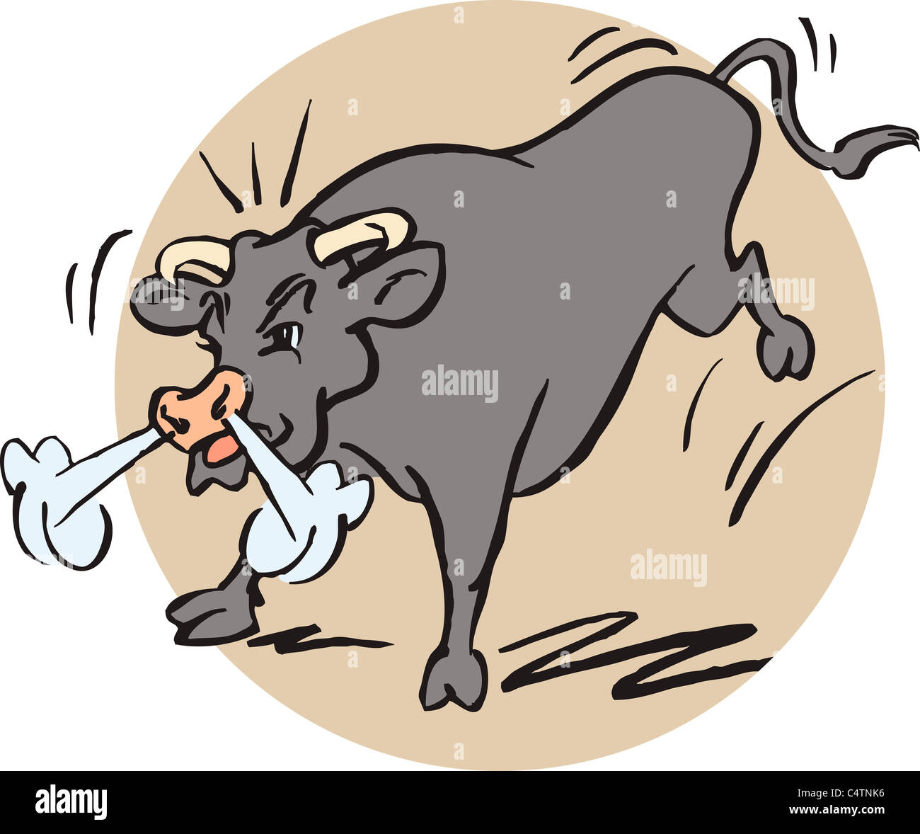 Bull Angry Charging Stock Photos & Bull Angry Charging Stock Images - Alamy