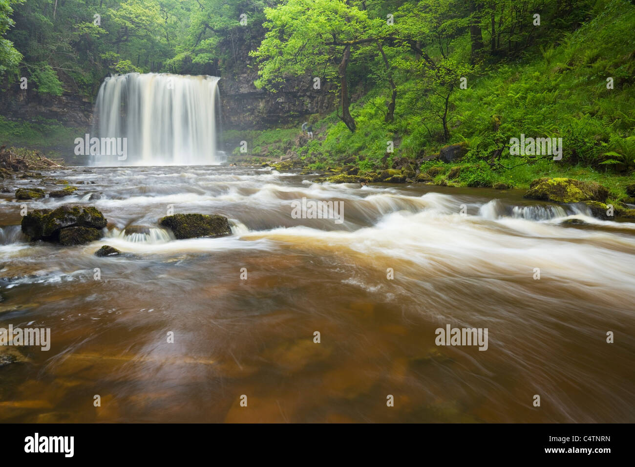 Sgwd yr Eira Waterfall. Near Ystradfellte. Brecon Beacons National Park ...