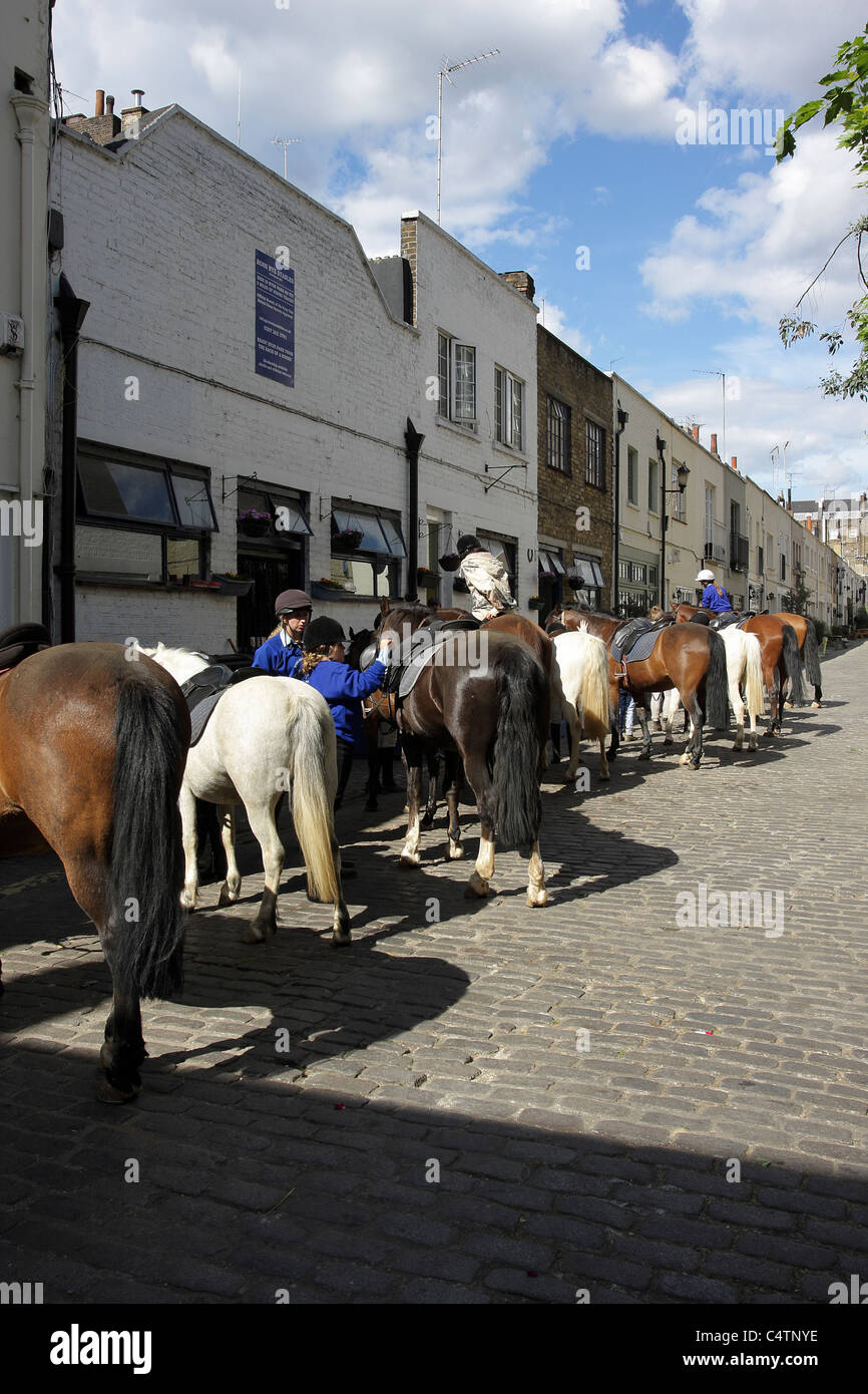 London's famous Hyde Park Stables in Bayswater Stock Photo - Alamy