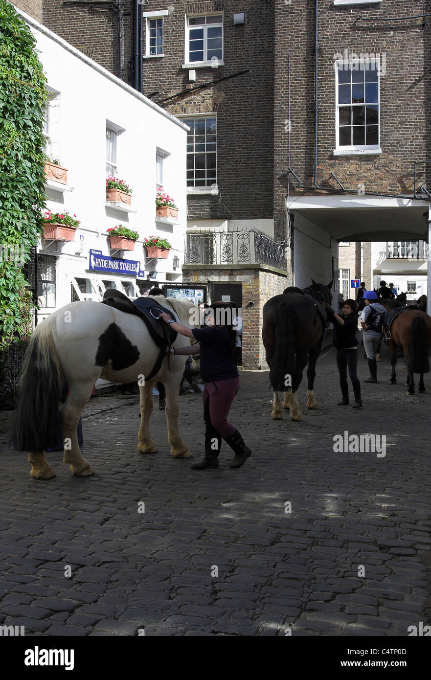 London's famous Hyde Park Stables in Bayswater Stock Photo - Alamy