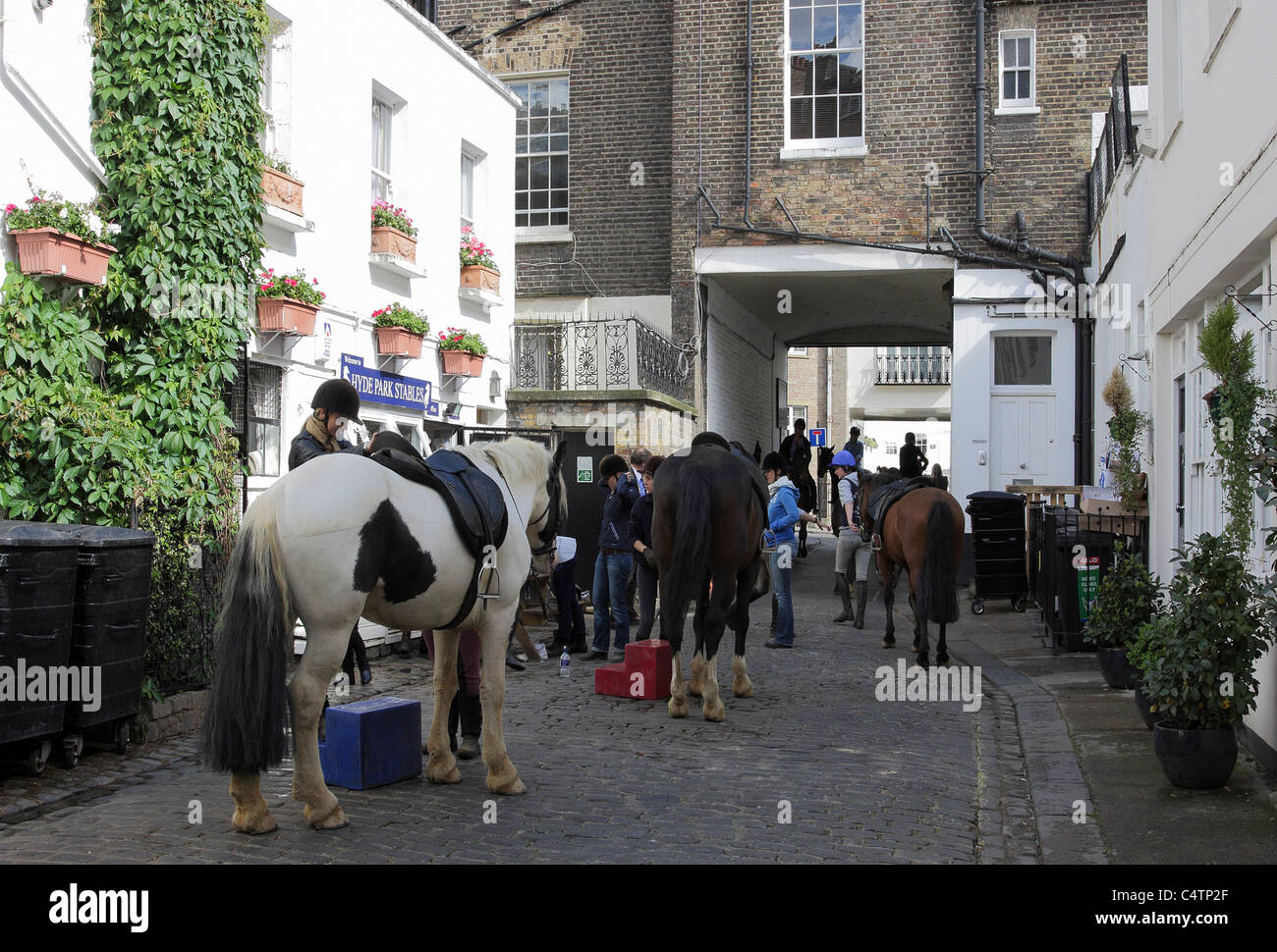Londons famous hyde park stables hi-res stock photography and images ...