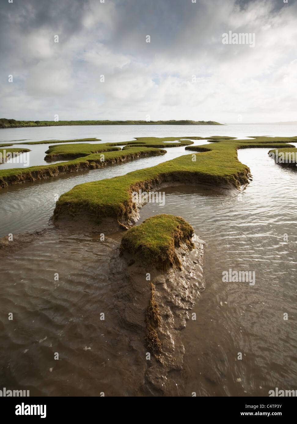 Tidal Marsh at the Skern at High Tide. Northam Burrows Country Park ...