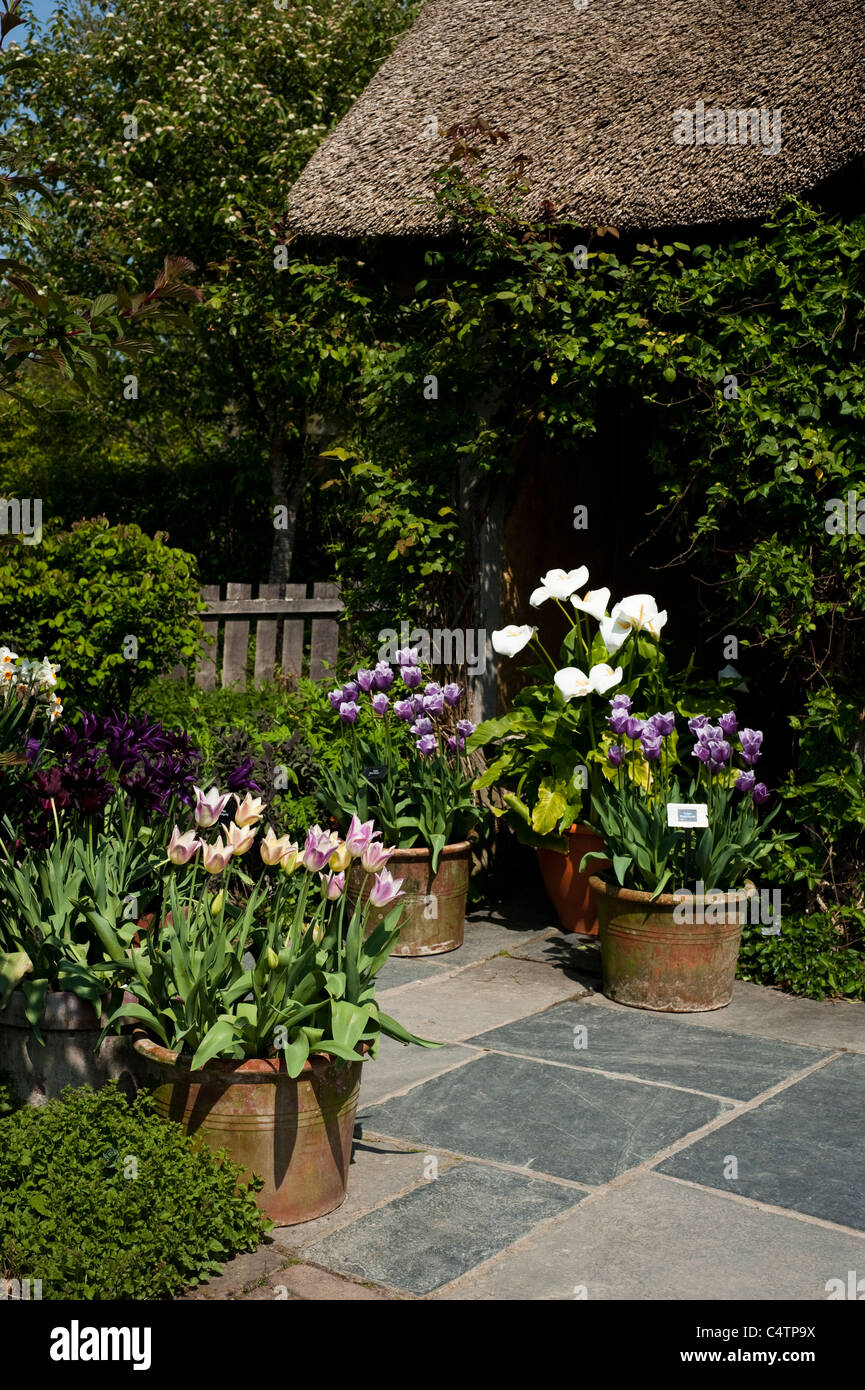 The Cottage Garden in April, RHS Rosemoor, Devon, England, United ...