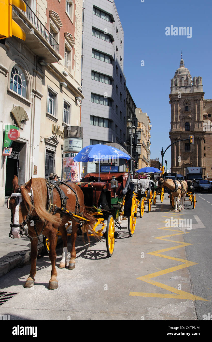 Horse drawn carriages with the Cathedral to the rear, Molina Lario ...