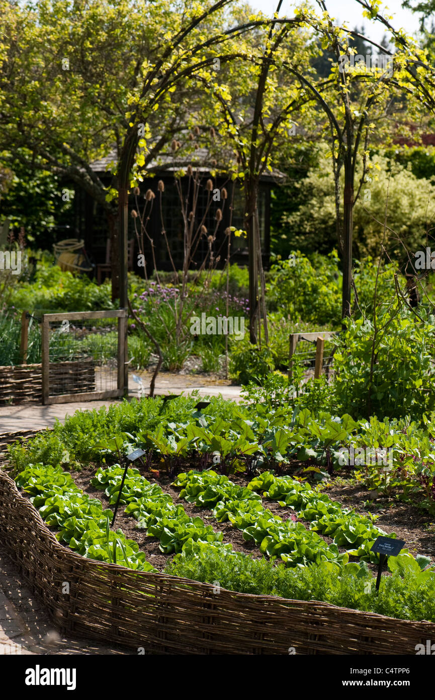 Potager garden hi-res stock photography and images - Alamy