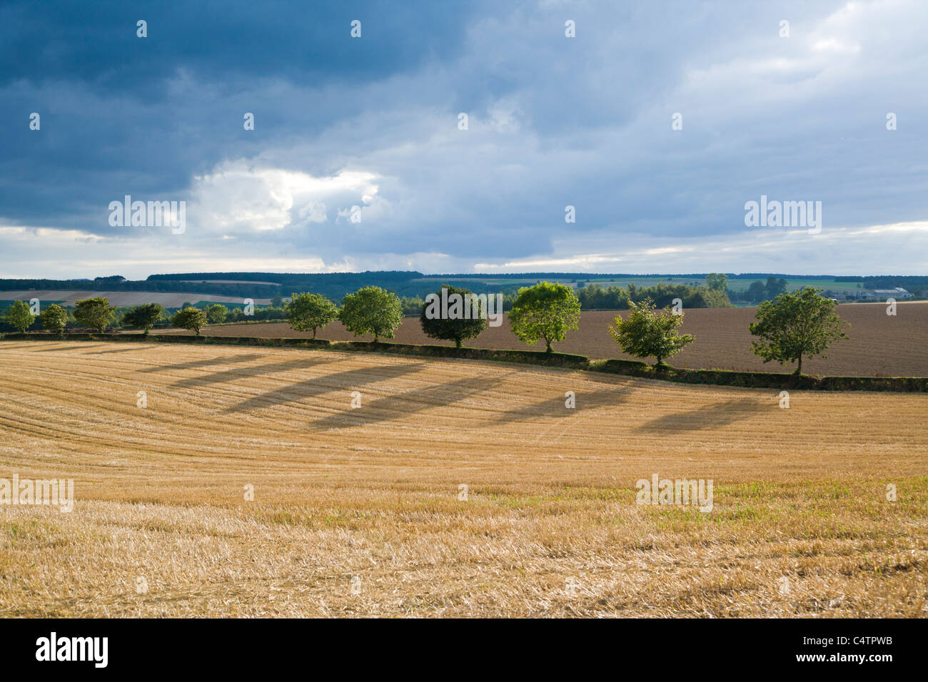 Edges boundary boundaries hi-res stock photography and images - Alamy