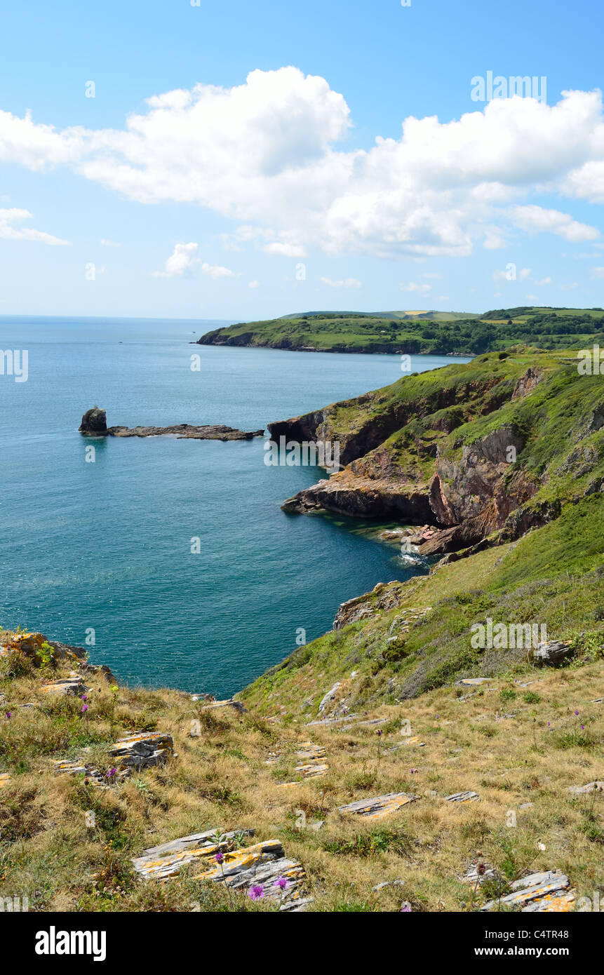 A view of the south Devon coastline taken from the coastal path Stock ...