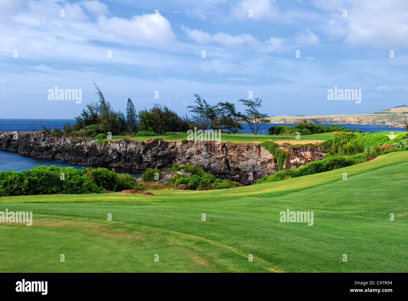 Hole 5 at the Kapalua Bay golf course, Kapalua, Maui Stock Photo - Alamy