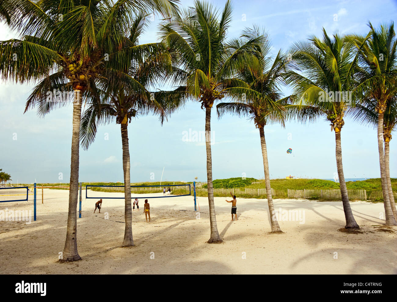 YOUNG PEOPLE PLAYING VOLLEYBALL IN BEACH WITH PALM TREES Stock Photo ...