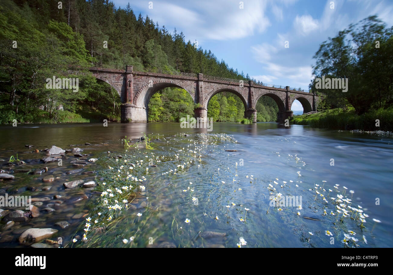 River tweed With tree movement Stock Photo - Alamy