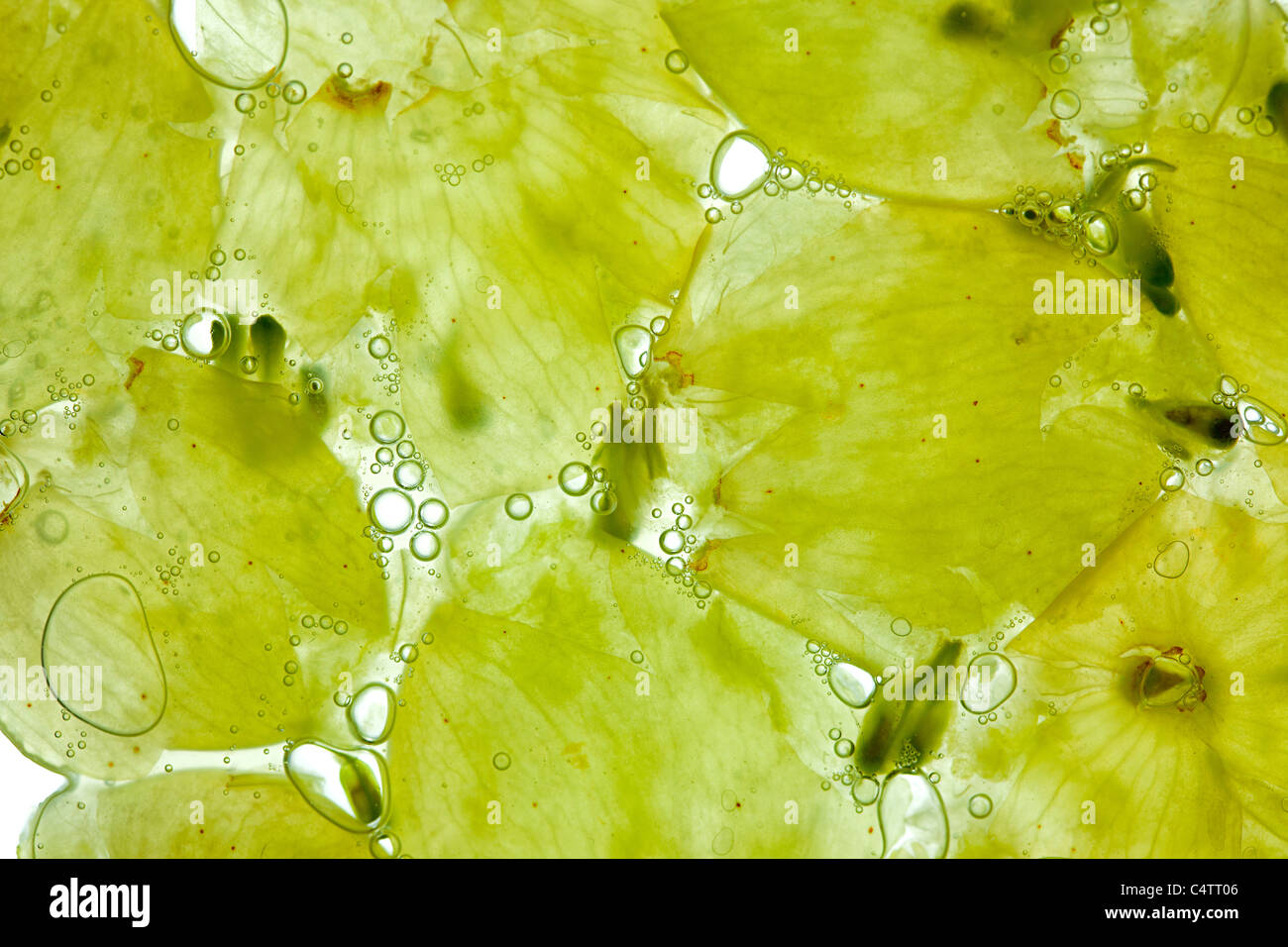 Trauben pressen hi-res stock photography and images - Alamy