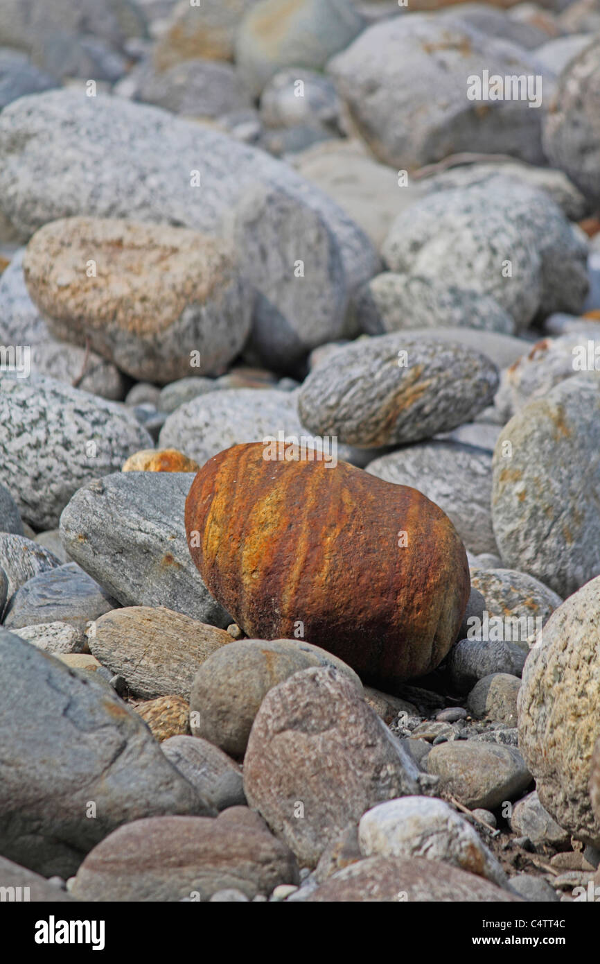 Pebbles on the river bed, Noa-Dehing river, Namdapha, Arunachal Pradesh ...
