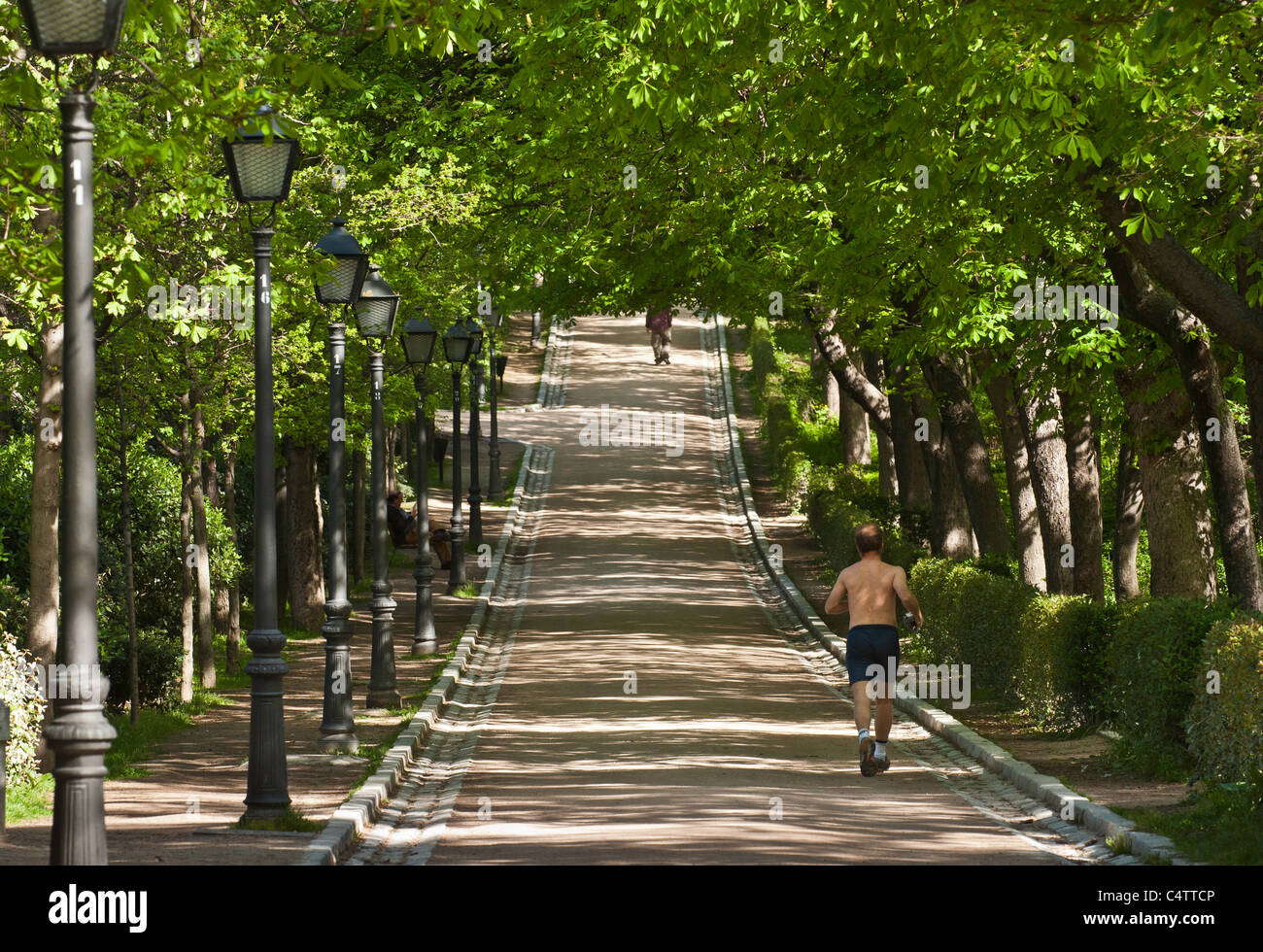 A jogger in the Retiro Park, Madrid, Spain Stock Photo - Alamy