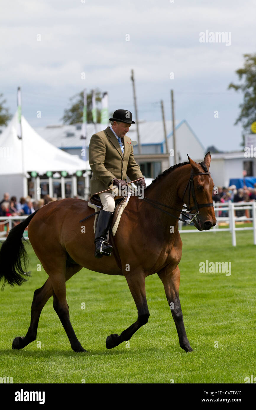 Lightweight rider hi-res stock photography and images - Alamy
