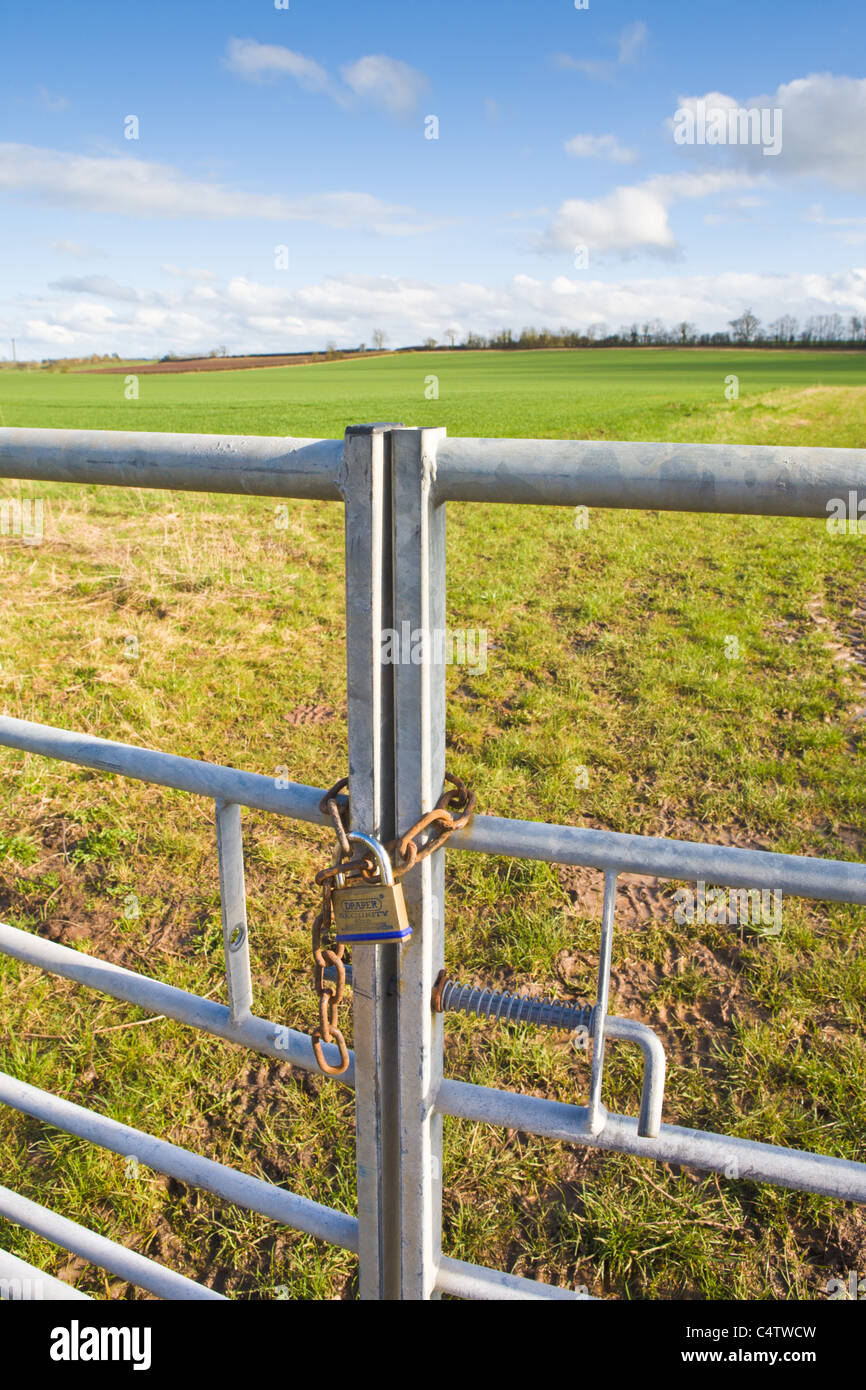 Farm gate padlock and chain hi-res stock photography and images - Alamy
