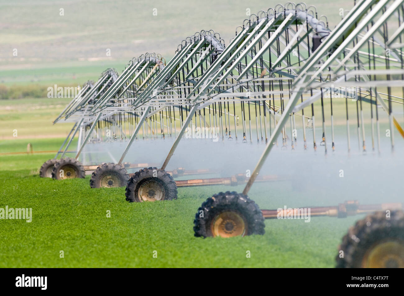 Low-flow sprinkler head on center-pivot agricultural sprinkler line in ...
