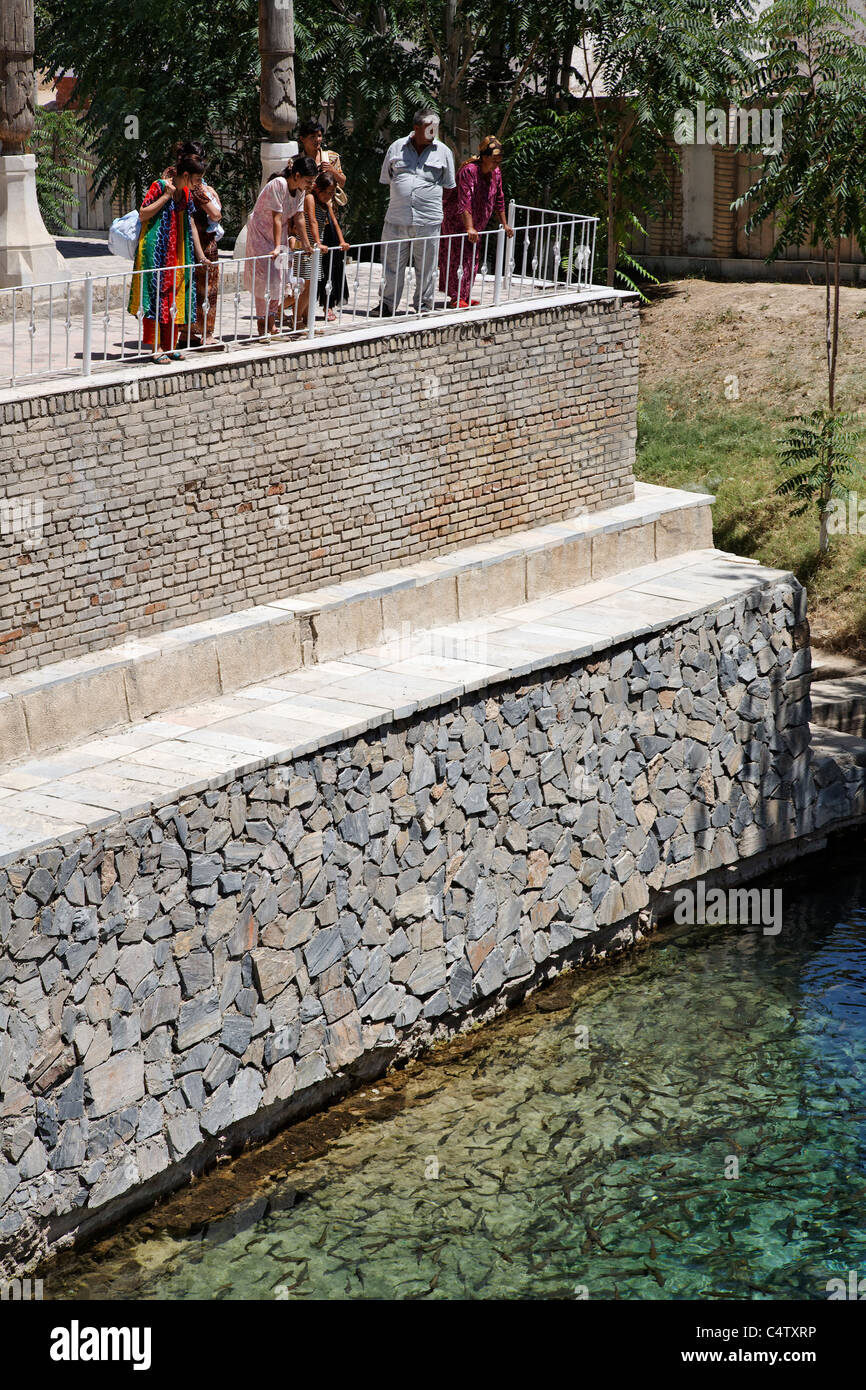 Holy Fish High Resolution Stock Photography and Images - Alamy