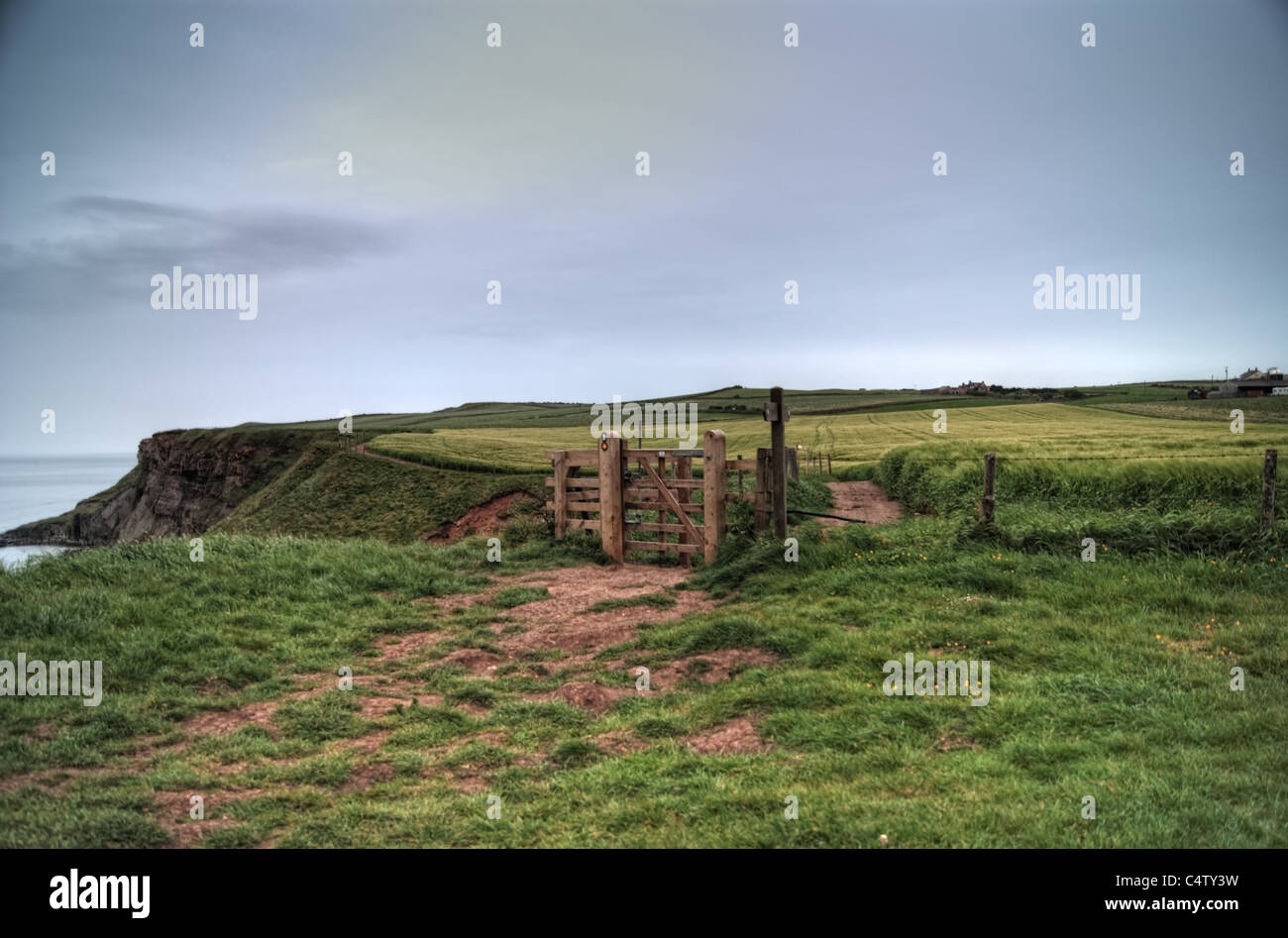 Saltwick Bay near Whitby Stock Photo - Alamy