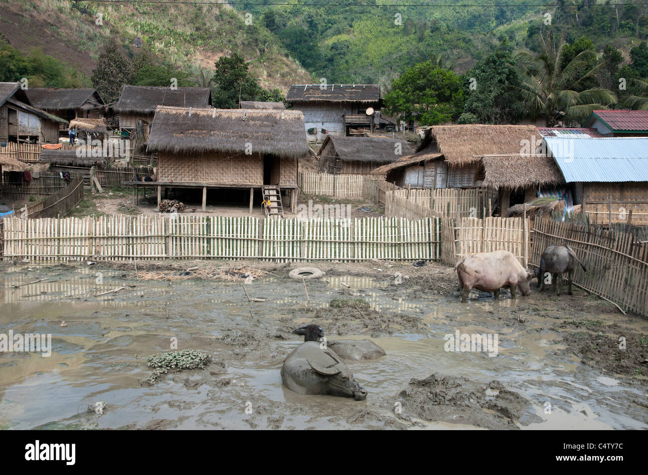 A traditional village in Laos Stock Photo - Alamy