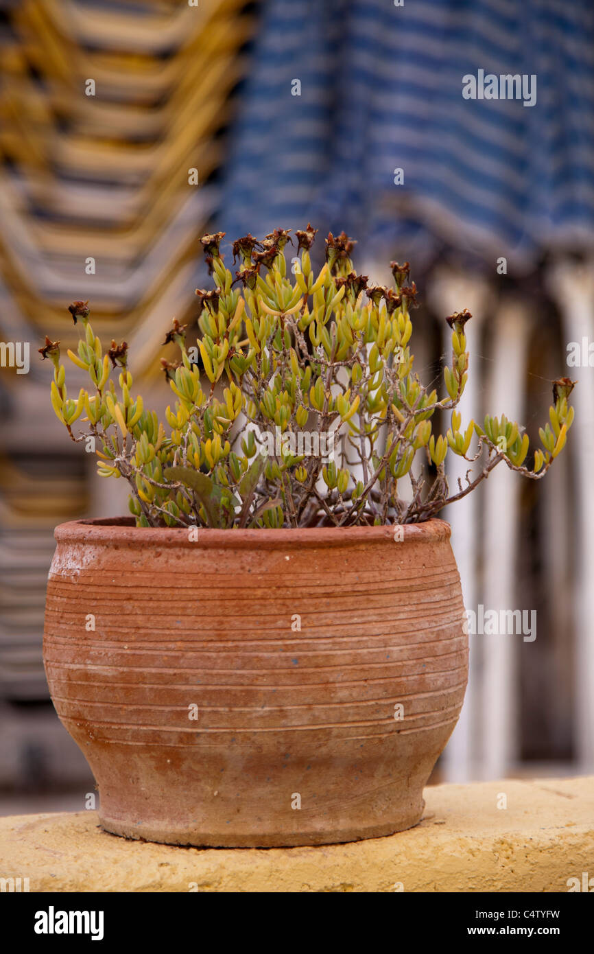 Crete nature hi-res stock photography and images - Alamy