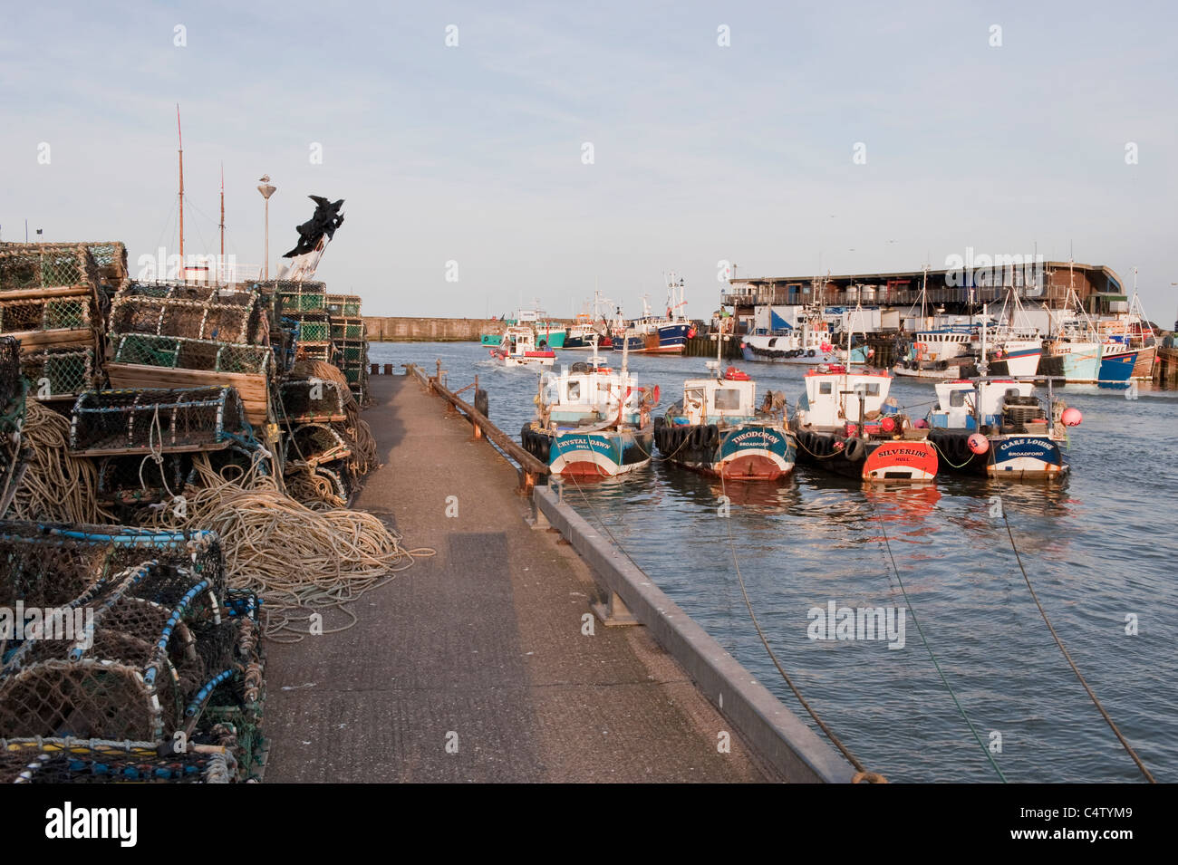 Bridlington harbour (sunlit fishing vessels moored, pier, fish quay ...