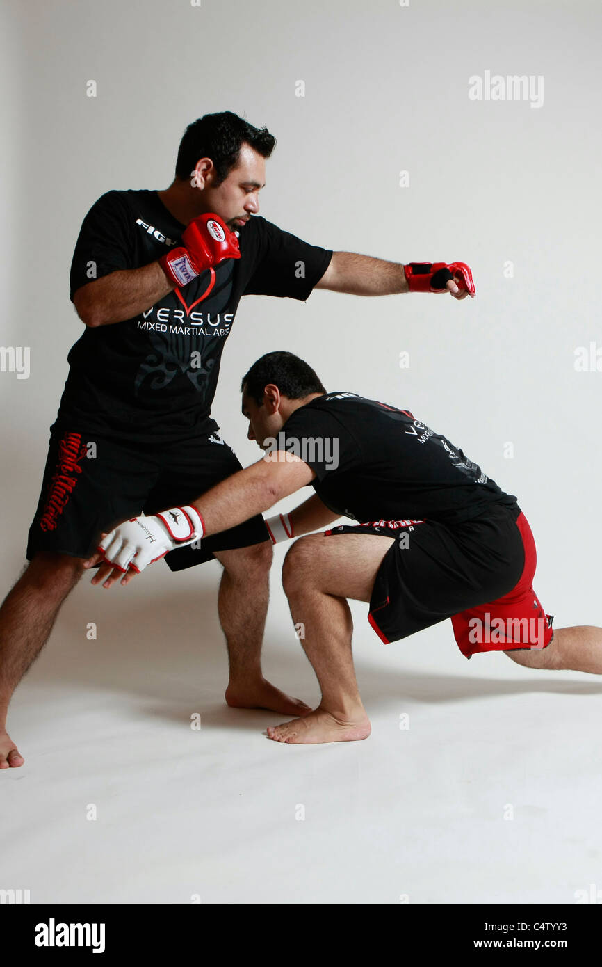 The ultimate fighter hi-res stock photography and images - Alamy