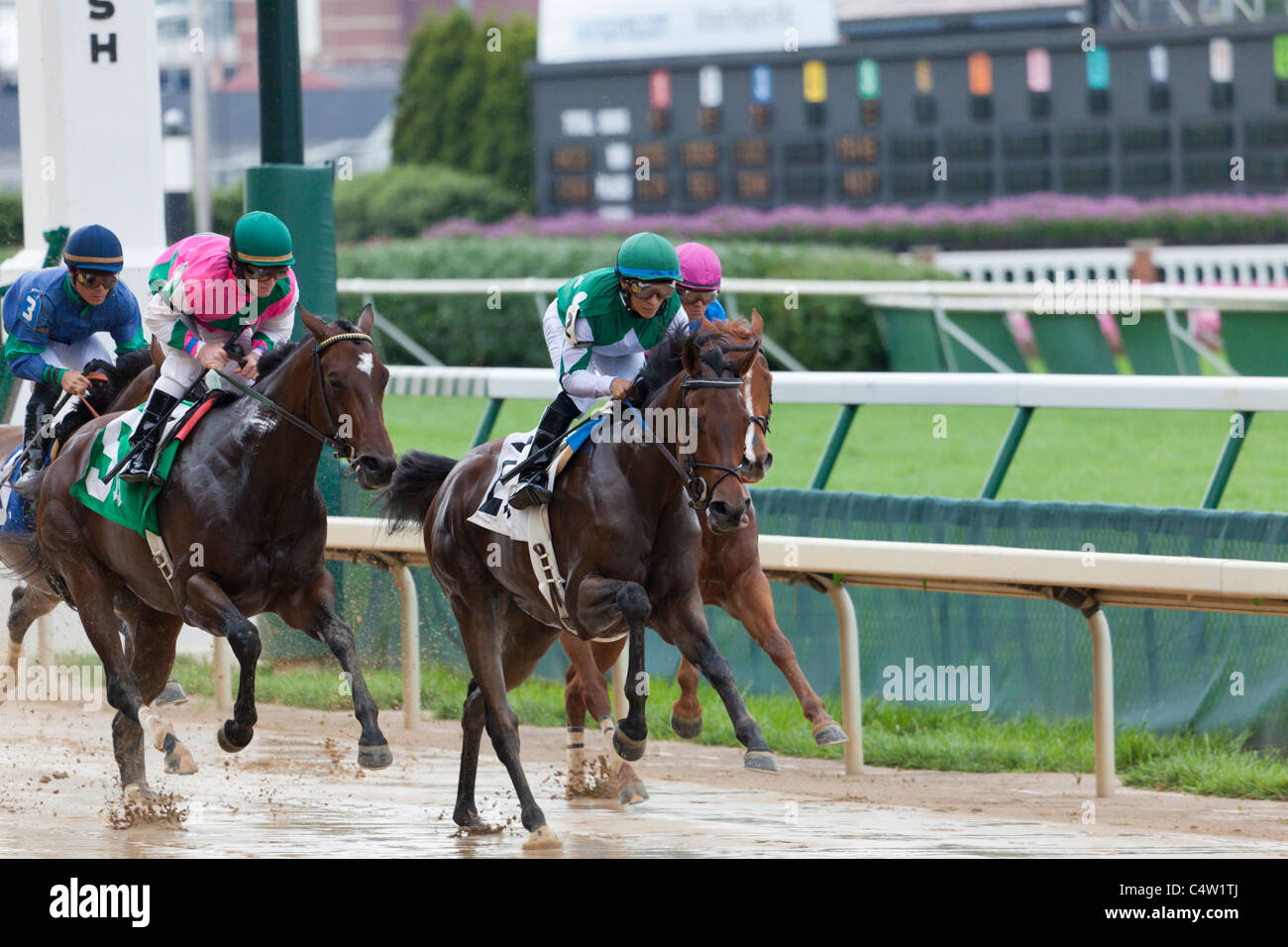Fast riding horse hi-res stock photography and images - Alamy