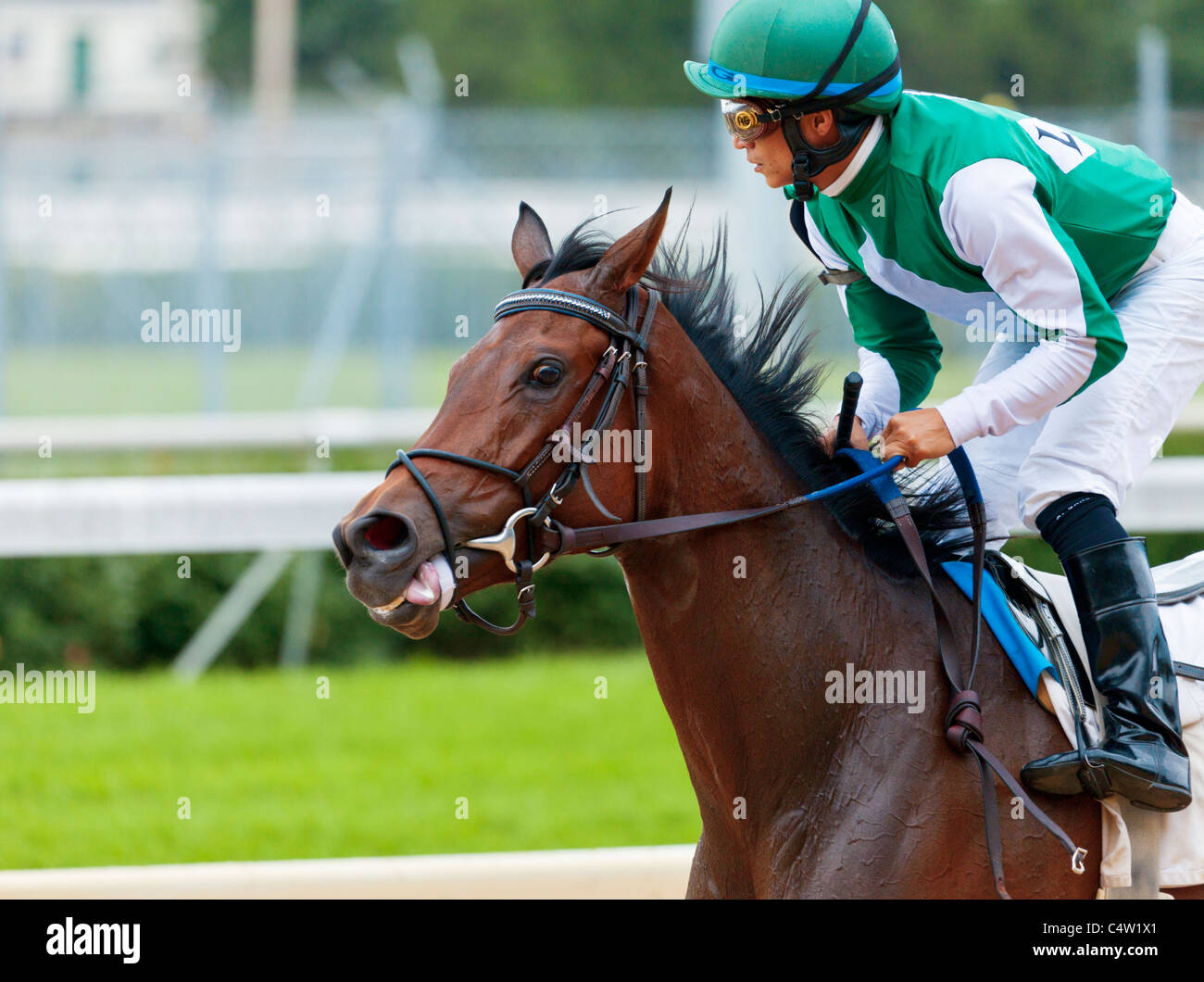Horse race track field hi-res stock photography and images - Alamy