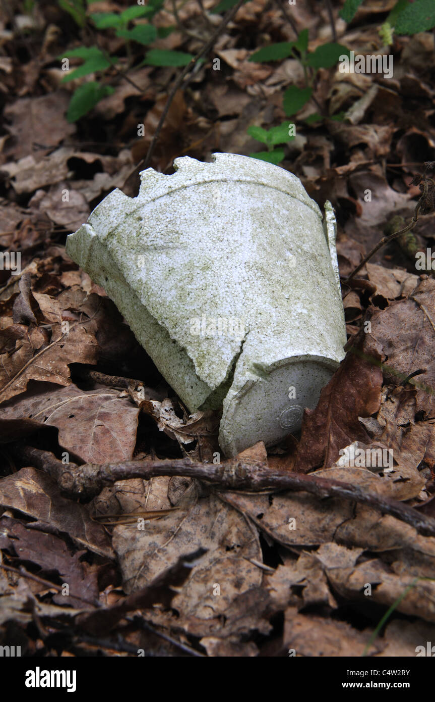 Discarded polystyrene cup in woodland leaf litter Stock Photo - Alamy