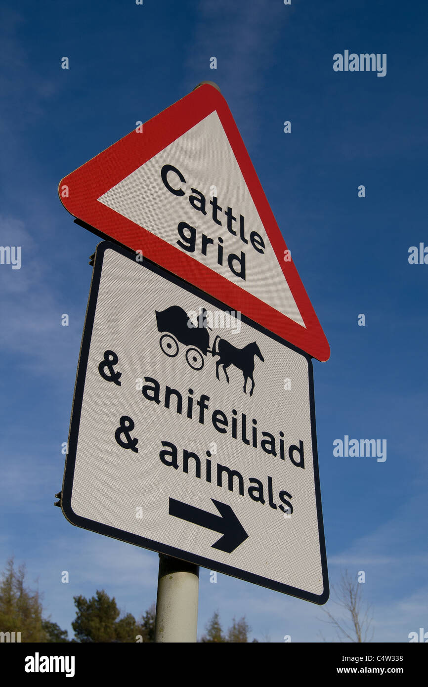 Cattle grid sign hi-res stock photography and images - Alamy