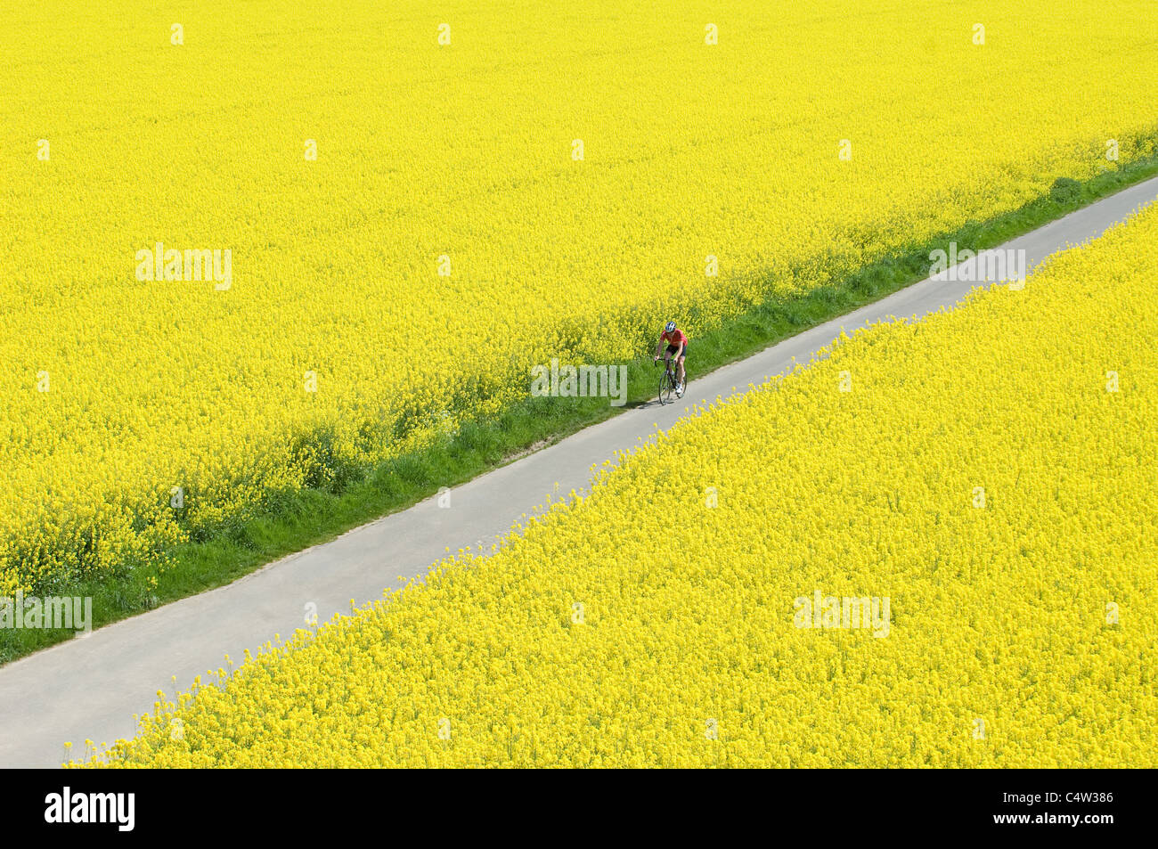 Man cycling through fields Stock Photo - Alamy