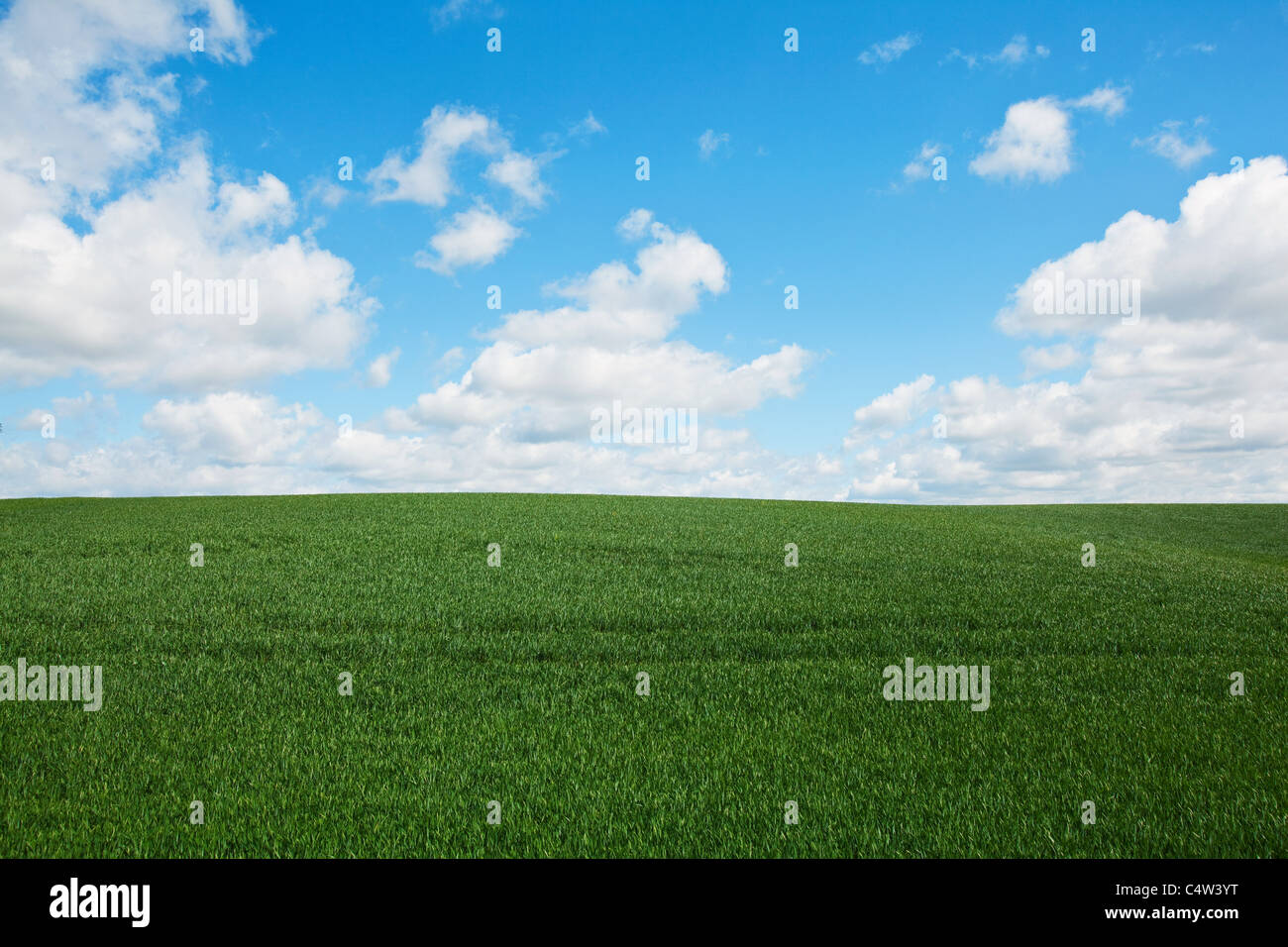 Green field, England, UK Stock Photo - Alamy