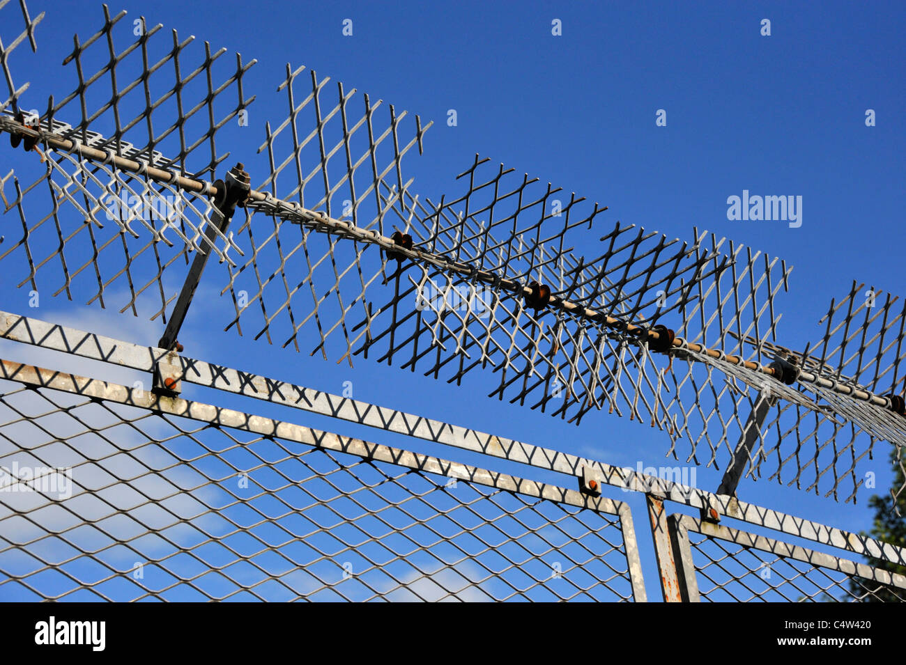 Detail of Anti-vandal metal security fencing Stock Photo - Alamy