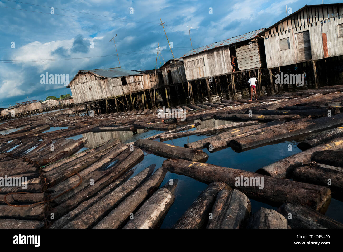 Tropical rainforest logging hi-res stock photography and images - Alamy