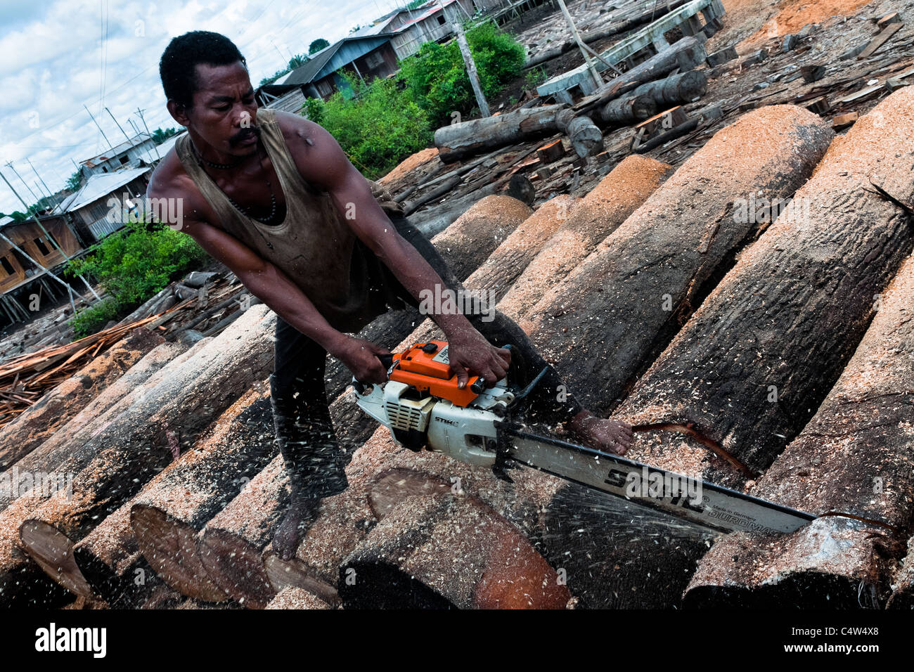 A Colombian worker uses a chainsaw to cut a log from the rainforest at ...