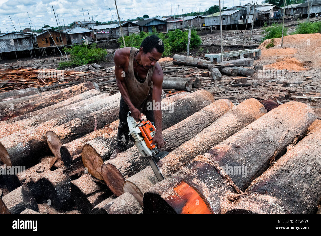 A Colombian worker uses a chainsaw to cut a log from the rainforest at ...