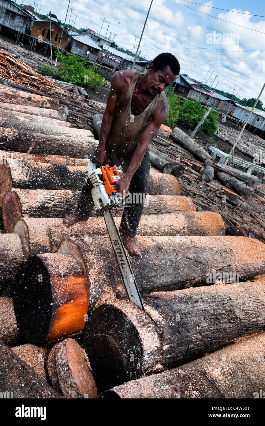 A Colombian sawmill worker uses a chainsaw to cut a log from the ...