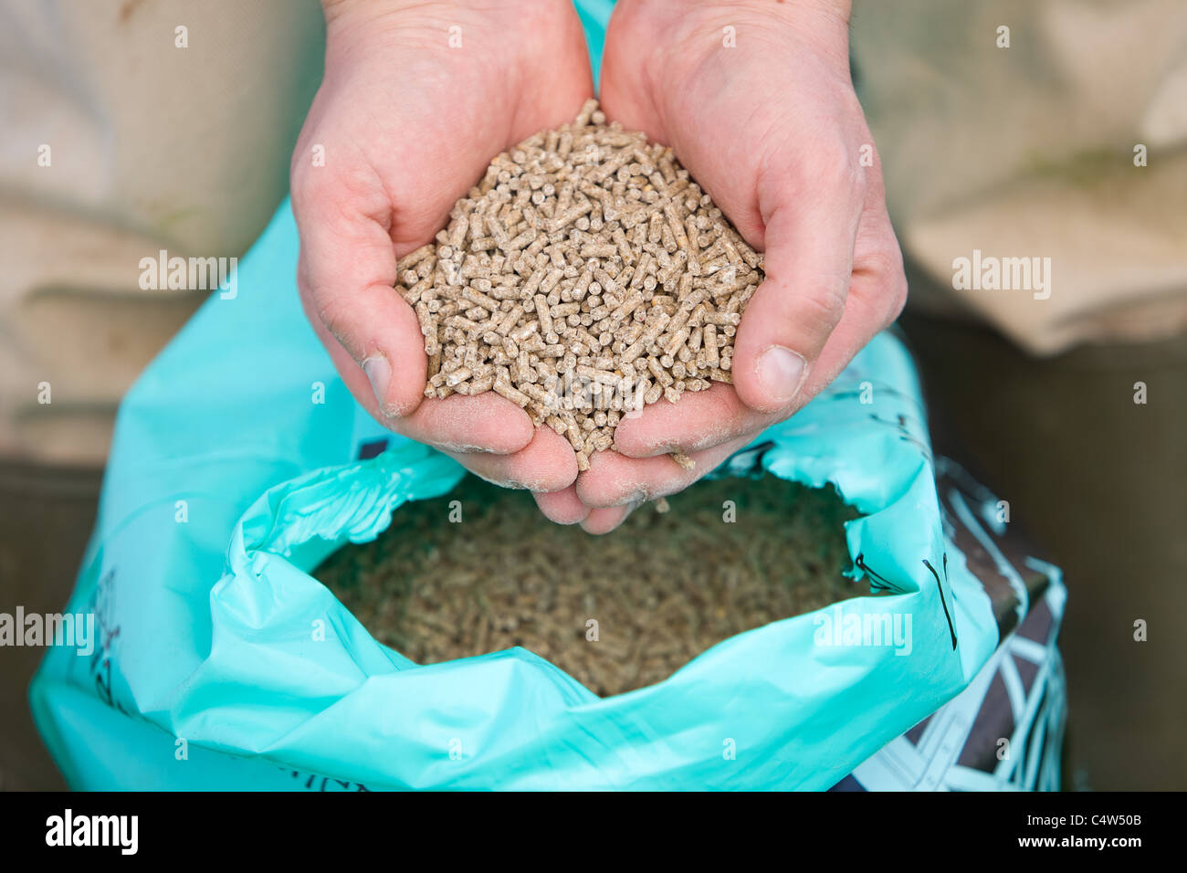 Poultry feed hi-res stock photography and images - Alamy