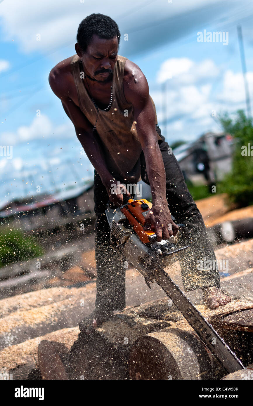 A Colombian sawmill worker uses a chainsaw to cut a log from the ...
