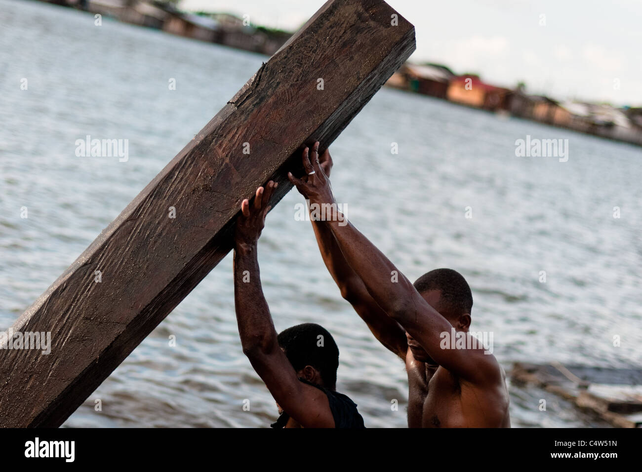 Colombian workers lift a heavy timber from the Pacific rainforest at a ...