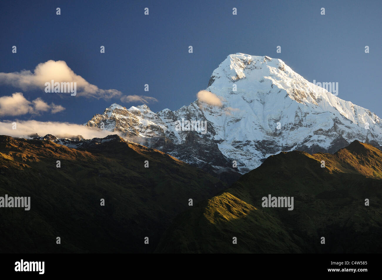 Annapurna South from Tadapani Village, Annapurna, Conservation Area ...