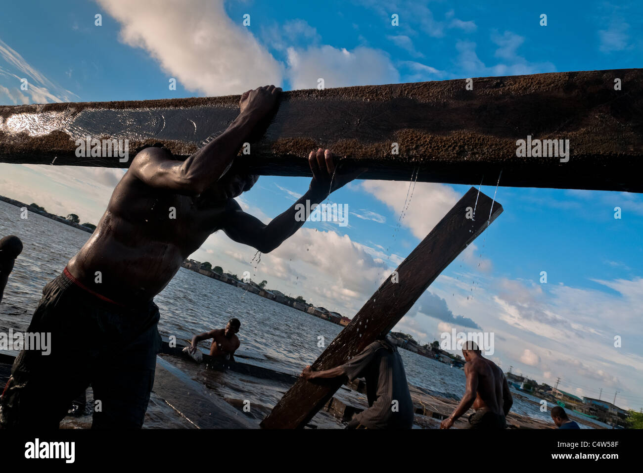 Colombian workers carry timbers from the Pacific rainforest at a ...