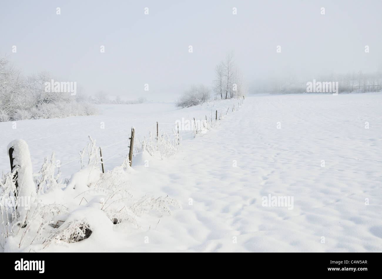 Baar region hi-res stock photography and images - Alamy