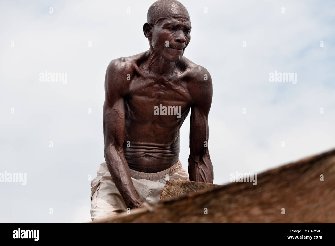 A Colombian worker lifts a heavy timber from the Pacific rainforest at ...
