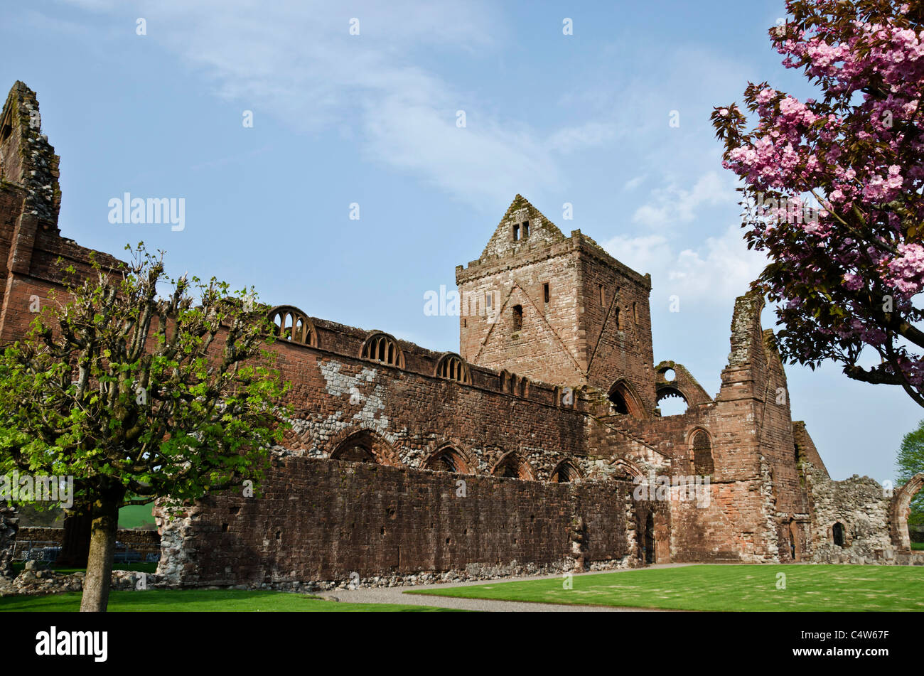 Sweetheart Abbey, Dumfries and Galloway Region, Scotland Stock Photo ...