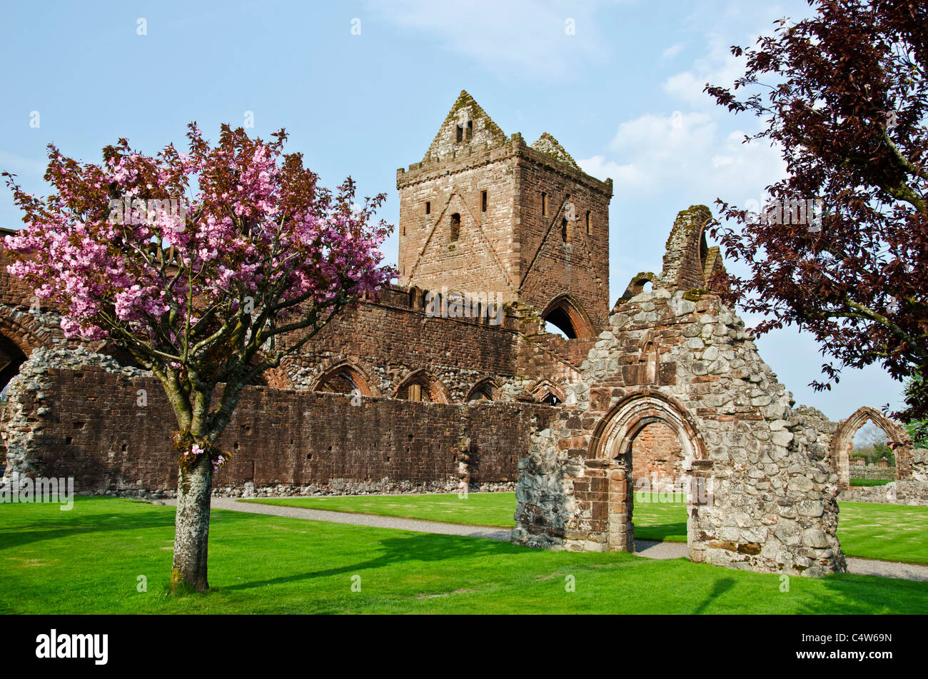 Sweetheart Abbey, Dumfries and Galloway Region, Scotland Stock Photo ...