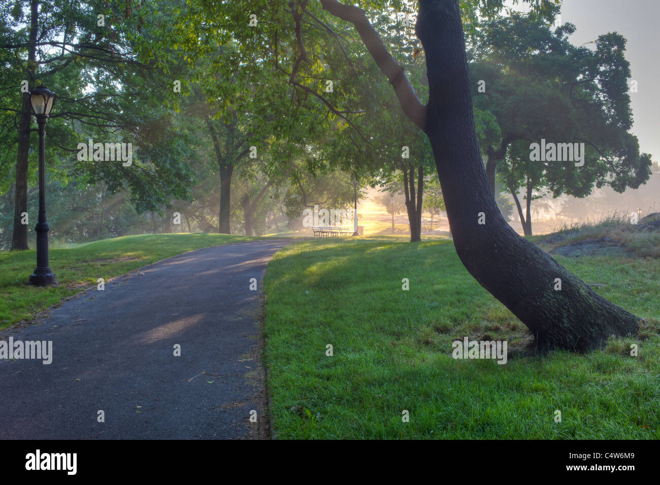 Central Park, New York City early morning on sidewalk Stock Photo - Alamy